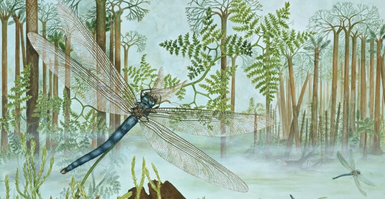 The Griffinflies: Earth's Earliest Flying Insects Revealed - Dragonfly ...
